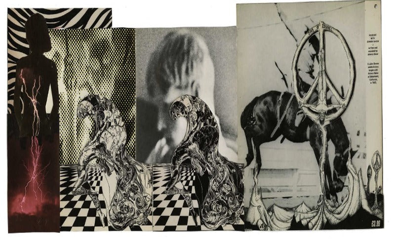 Jonah Freeman & Justin Lowe| Random Forest Collage, 2023 – ISTANBUL'74